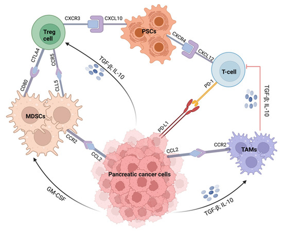 Drug Delivery Strategies for the Treatment of Pancreatic Cancer