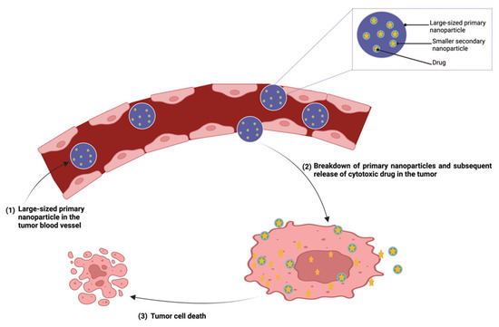 Drug Delivery Strategies for the Treatment of Pancreatic Cancer