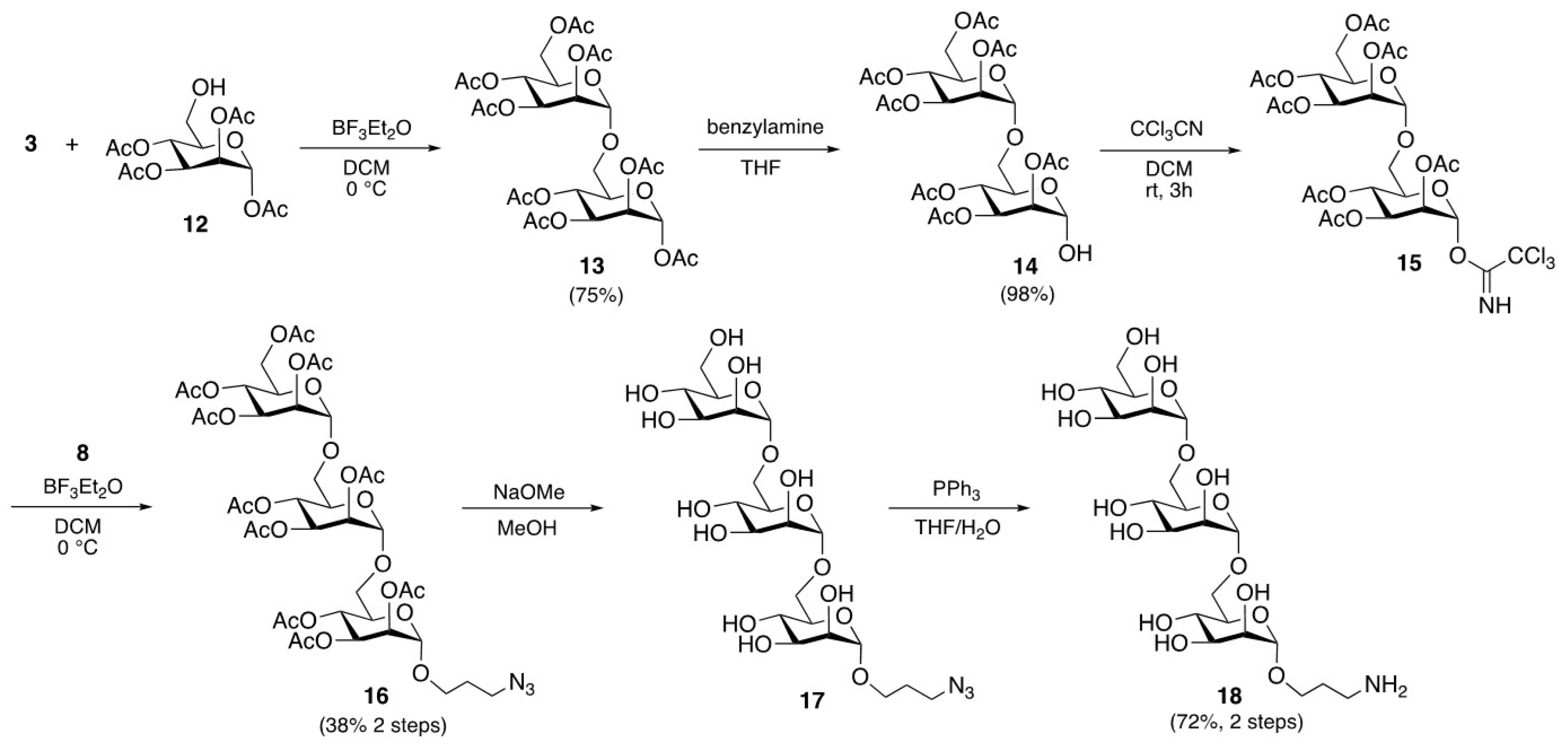 Glycovaccine Design: Optimization of Model and Antitubercular Carrier ...
