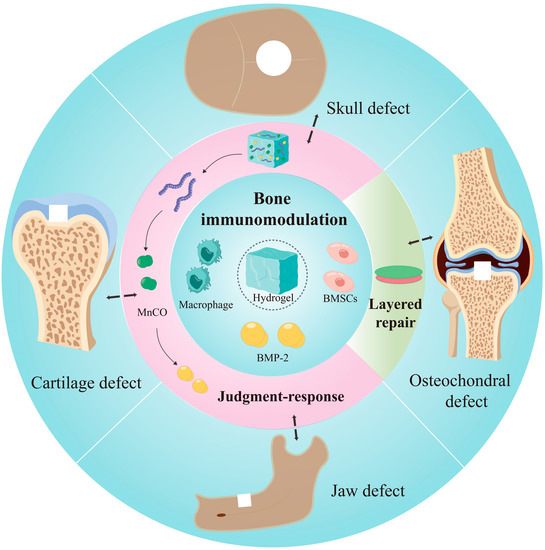 Hydrogel Drug Delivery Systems for Bone Regeneration