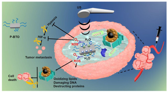 Piezoelectric Nanomaterials Activated by Ultrasound in Disease Treatment