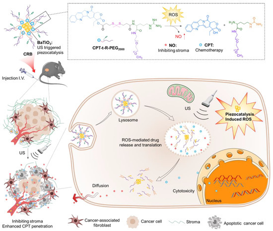 Piezoelectric Nanomaterials Activated by Ultrasound in Disease Treatment