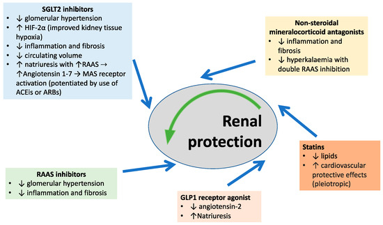 The Pillars for Renal Disease Treatment in Patients with Type 2 Diabetes