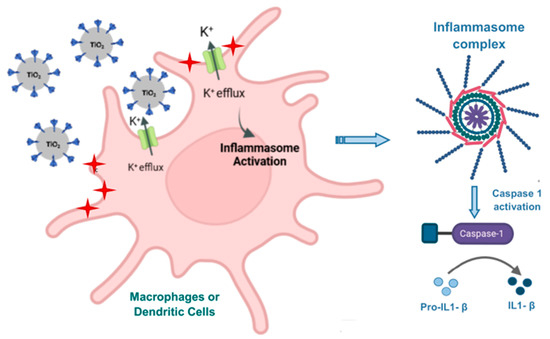 Prospects for the Use of Metal-Based Nanoparticles as Adjuvants for ...
