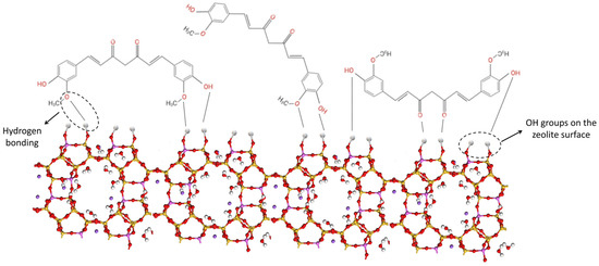 Zeolites as Ingredients of Medicinal Products