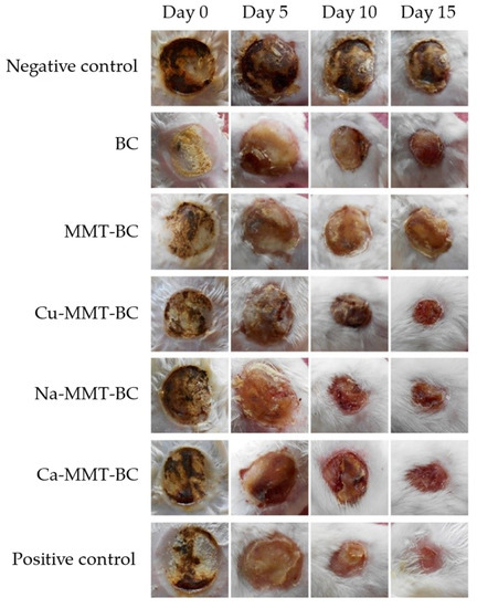 Natural and Synthetic Clay Minerals in the Pharmaceutical and ...