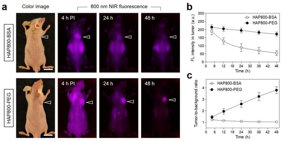 Near-Infrared Fluorescent Hydroxyapatite Nanoparticles for Targeted Photothermal Cancer Therapy