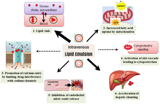 Lipid Emulsion to Treat Acute Poisonings: Mechanisms of Action ...