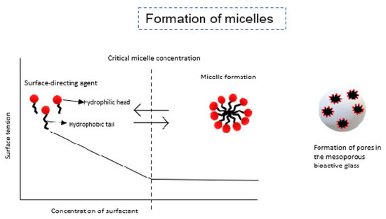 Prosthetic Joint Infections: Biofilm Formation, Management, and the ...