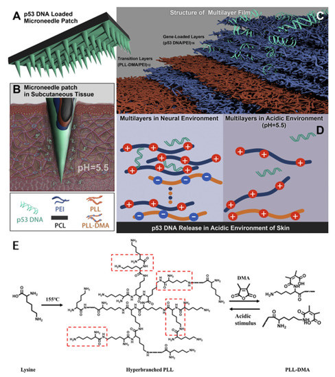 Responsive Microneedles as a New Platform for Precision Immunotherapy
