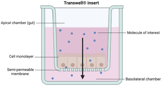 Challenges and Opportunities in the Oral Delivery of Recombinant Biologics