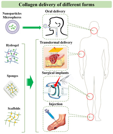 Pharmacological Functions, Synthesis, and Delivery Progress for Collagen as Biodrug and Biomaterial