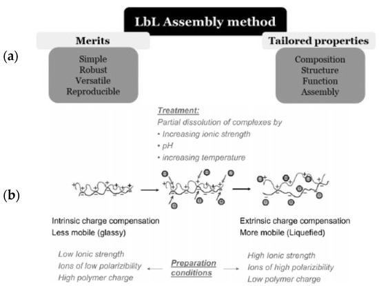 Pharmaceutics | Free Full-Text | Layer-by-Layer Nanoassemblies for ...
