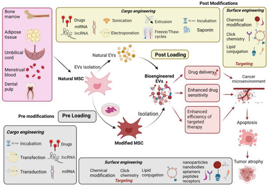 Emerging Roles of Mesenchymal Stem/Stromal-Cell-Derived Extracellular Vesicles in Cancer Therapy