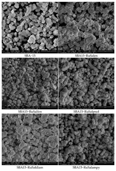 New Nanostructured Materials Based on Mesoporous Silica Loaded with Ru ...