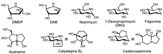 Iminosugar-Based Nicotinamide Phosphoribosyltransferase (NAMPT ...