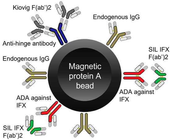 Optimization of a Quantitative Anti-Drug Antibodies against Infliximab ...