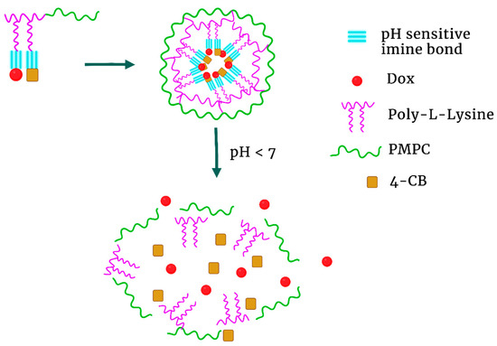 Pharmaceutics | Free Full-Text | Delivery of Chemotherapy Agents and ...