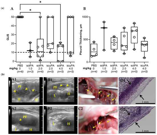 Targeting the PAI-1 Mechanism with a Small Peptide Increases the ...