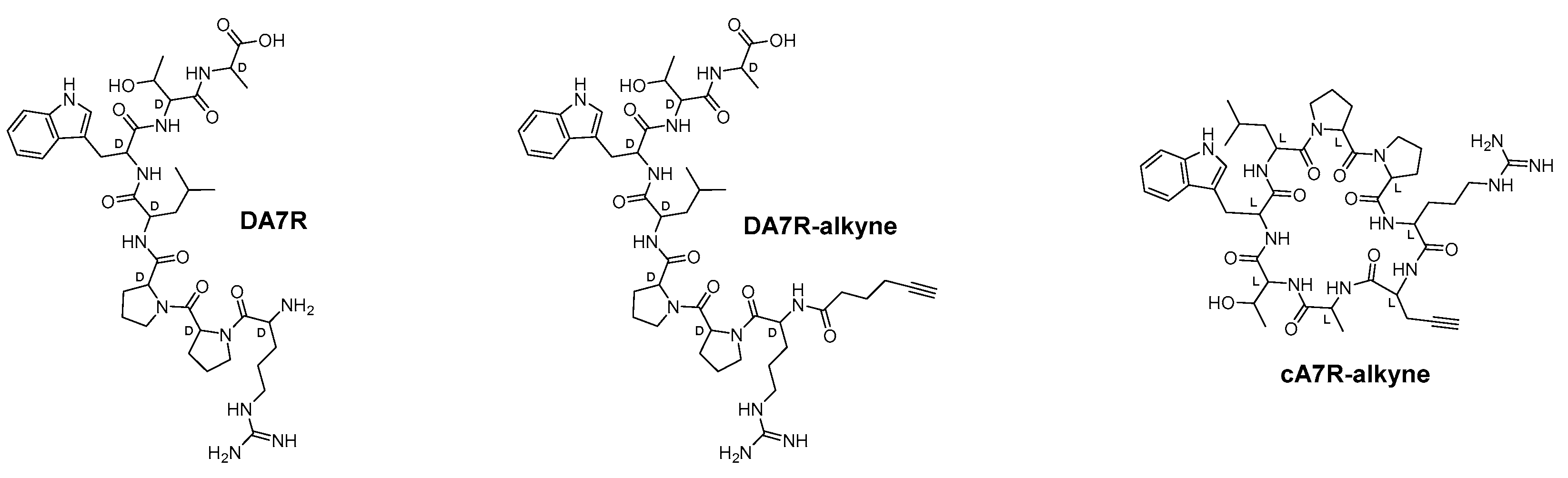 Pharmaceutics | Free Full-Text | DA7R: A 7-Letter Zip Code to Target PDAC