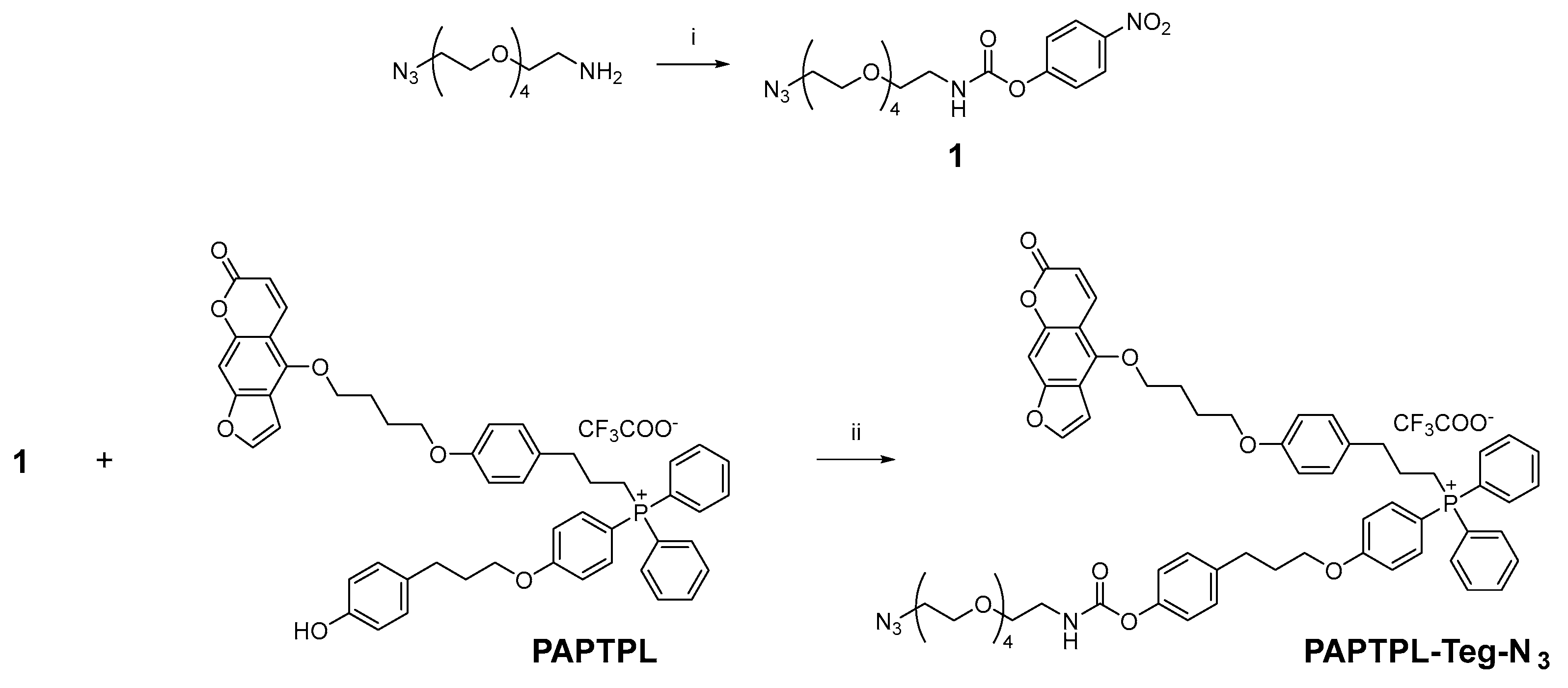 Pharmaceutics | Free Full-Text | DA7R: A 7-Letter Zip Code to Target PDAC