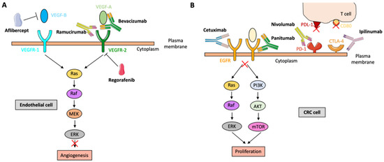 Antibody-Loaded Nanoplatforms for Colorectal Cancer Diagnosis and ...