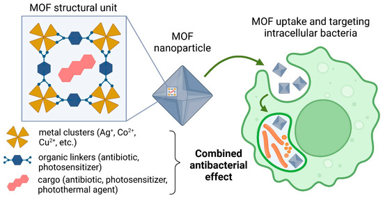 Metal-Organic Framework-Based Nanomedicines for the Treatment of Intracellular Bacterial Infections