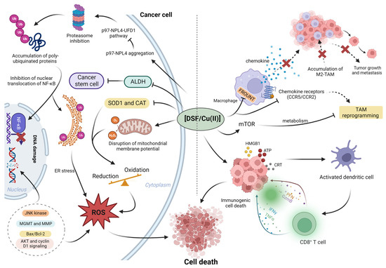 Advancing Cancer Therapy with Copper/Disulfiram Nanomedicines and Drug ...