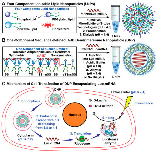 Screening Libraries to Discover Molecular Design Principles for the ...