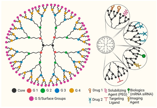 Dendrimers in Corneal Drug Delivery: Recent Developments and ...