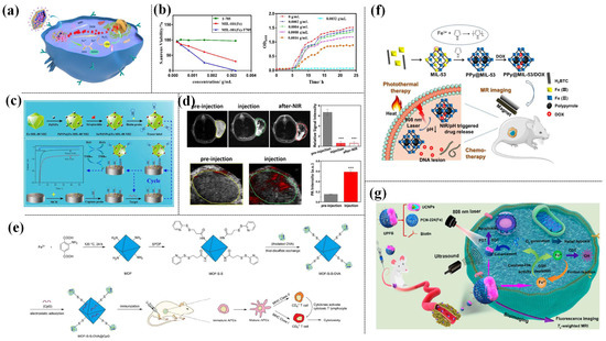 Fe-Based Metal Organic Frameworks (Fe-MOFs) for Bio-Related Applications