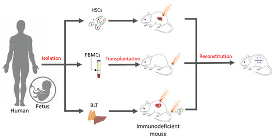 Emerging Preclinical Applications of Humanized Mouse Models in the Discovery and Validation of ...