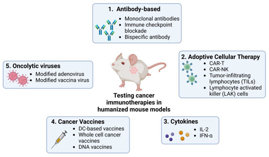 Emerging Preclinical Applications of Humanized Mouse Models in the Discovery and Validation of ...
