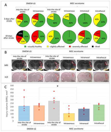 The Secretome of Mesenchymal Stromal Cells in Treating Intracerebral ...