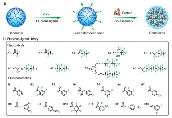Recent Progress of Rational Modified Nanocarriers for Cytosolic Protein ...