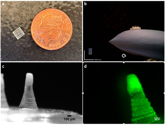Transscleral Delivery of Dexamethasone-Loaded Microparticles Using a ...