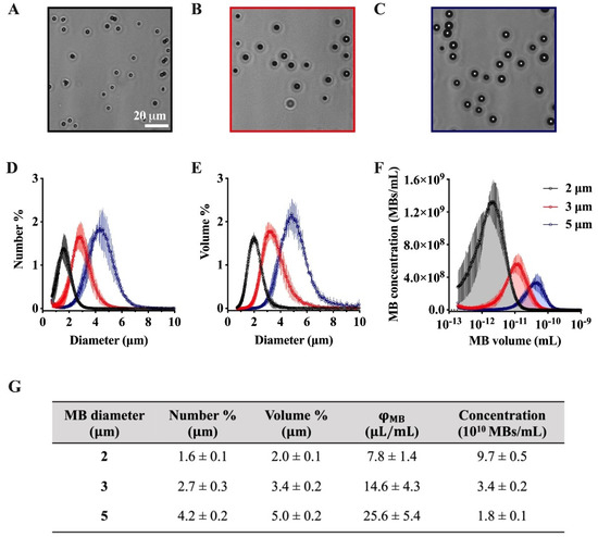 Targeted Microbubbles for Drug, Gene, and Cell Delivery in Therapy and ...