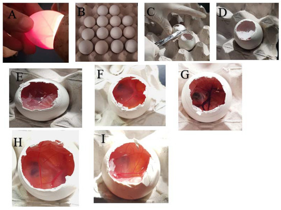 Controlling the Evolution of Selective Vancomycin Resistance through ...