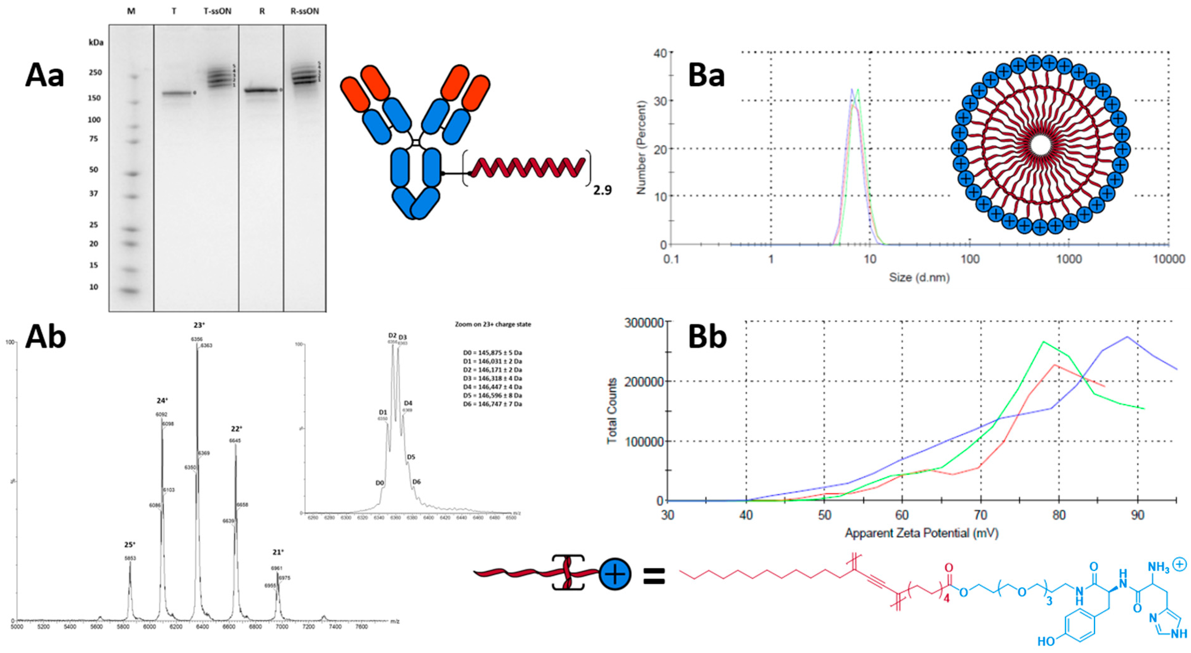 Targeted Anticancer Agent with Original Mode of Action Prepared by ...