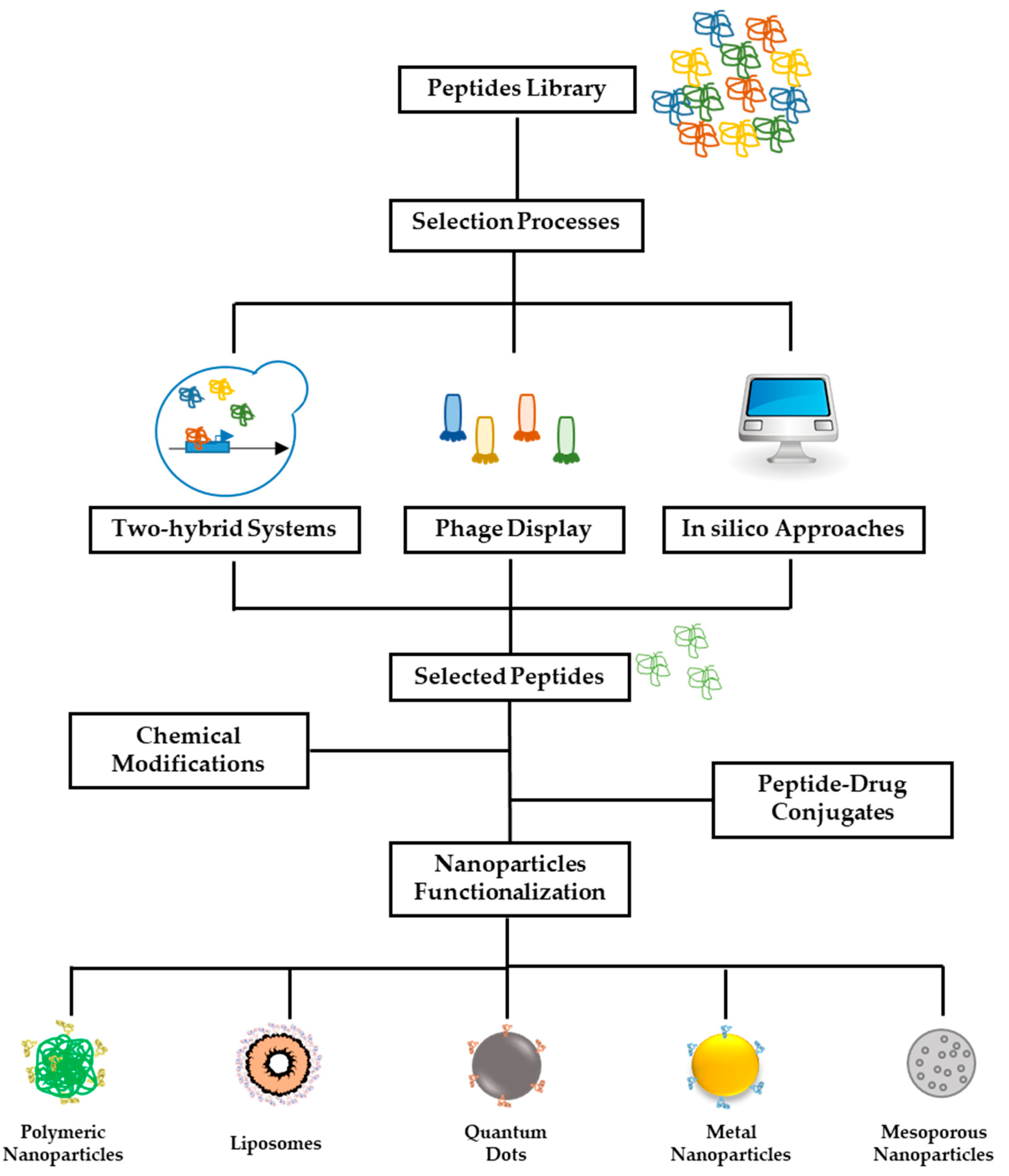 Targeting Peptides: The New Generation of Targeted Drug Delivery Systems