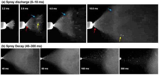 Visualization and Estimation of Nasal Spray Delivery to Olfactory ...