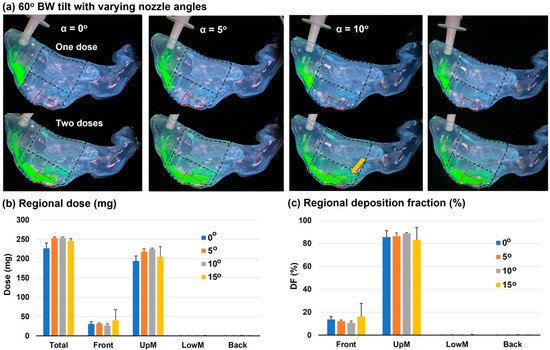 Visualization and Estimation of Nasal Spray Delivery to Olfactory ...