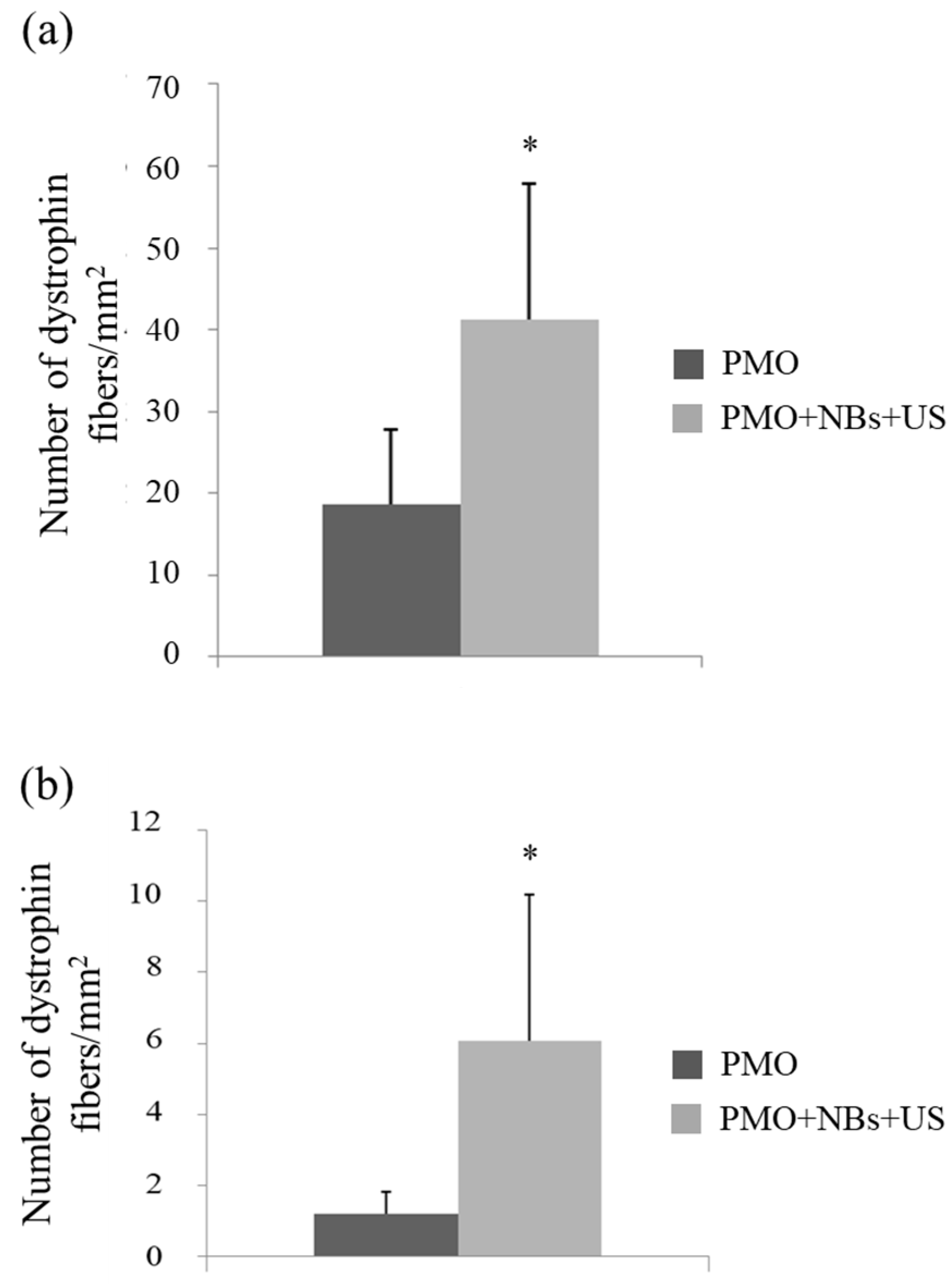 Development of a Gene and Nucleic Acid Delivery System for Skeletal ...