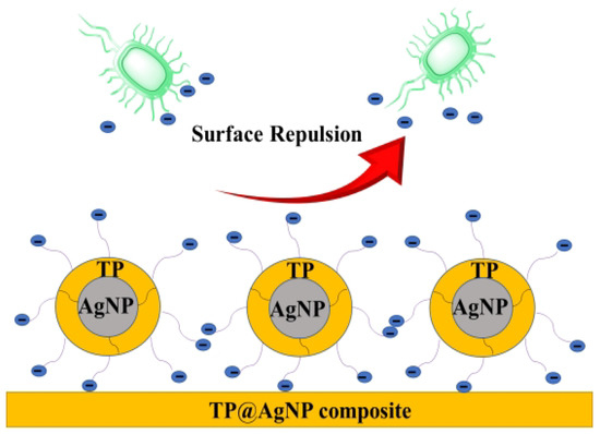 Pharmaceutics | Free Full-Text | Synthesis, Characterization, and ...