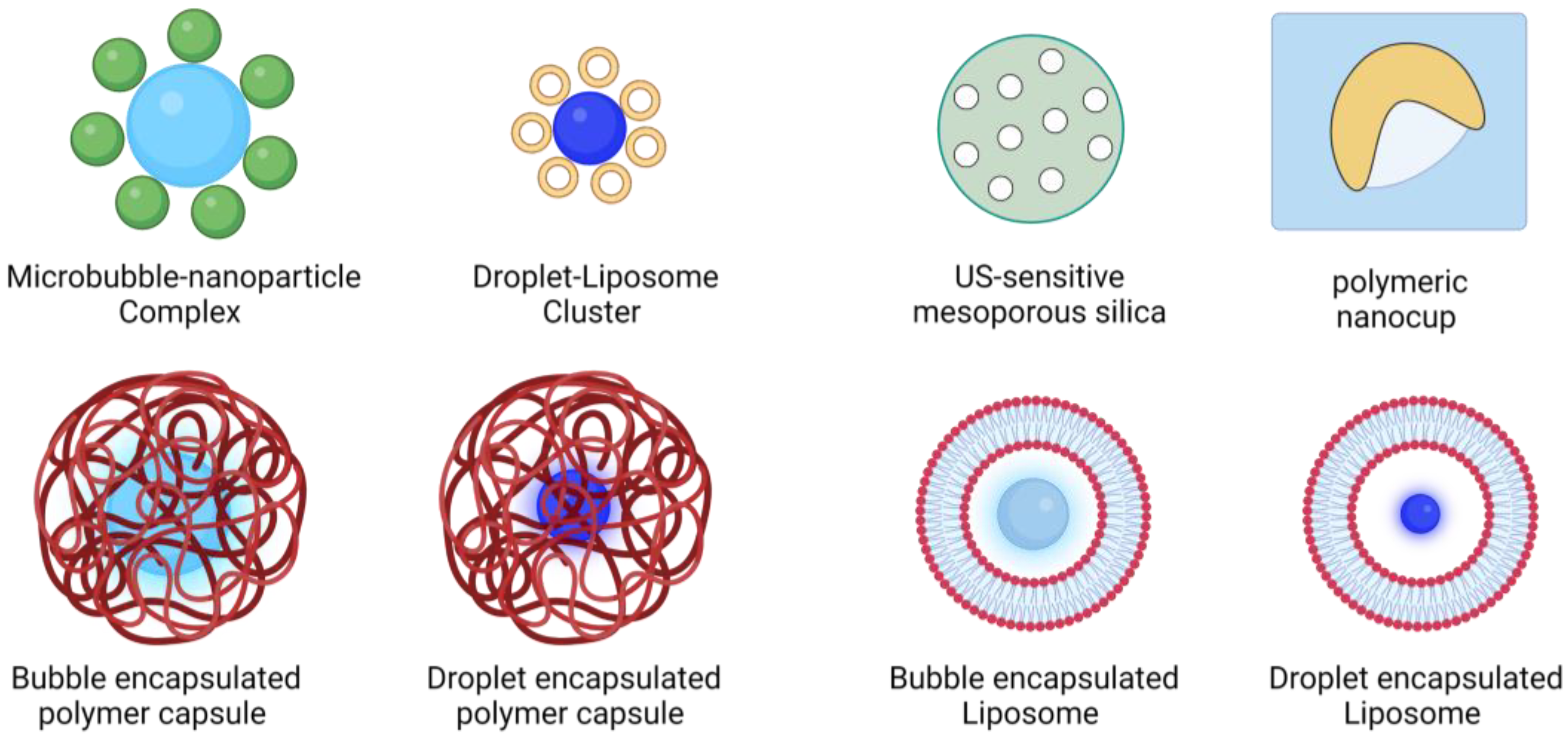 The Evolution and Recent Trends in Acoustic Targeting of Encapsulated ...