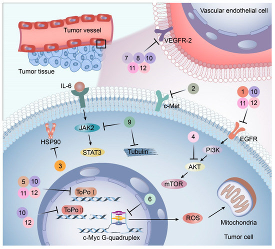 Heterocyclic Molecular Targeted Drugs and Nanomedicines for Cancer: Recent Advances and Challenges