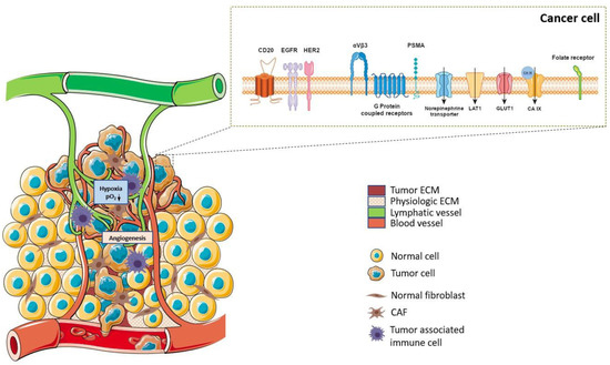 Clinical Advances and Perspectives in Targeted Radionuclide Therapy
