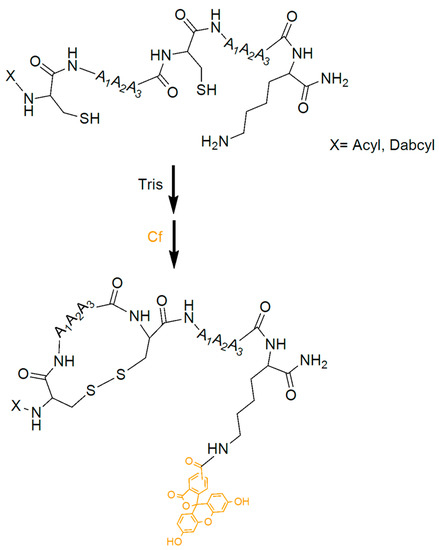 Pharmaceutics | Free Full-Text | Enhancing Cell Penetration Efficiency ...