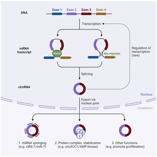Smart Nanocarriers for the Targeted Delivery of Therapeutic Nucleic ...