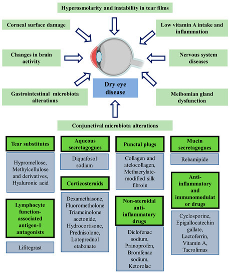 Recent Advances of Ocular Drug Delivery Systems: Prominence of Ocular ...